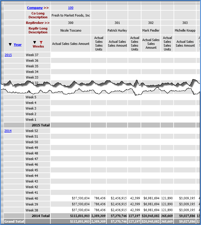 Help -- Example Rolling "N" Weeks and Months Filters